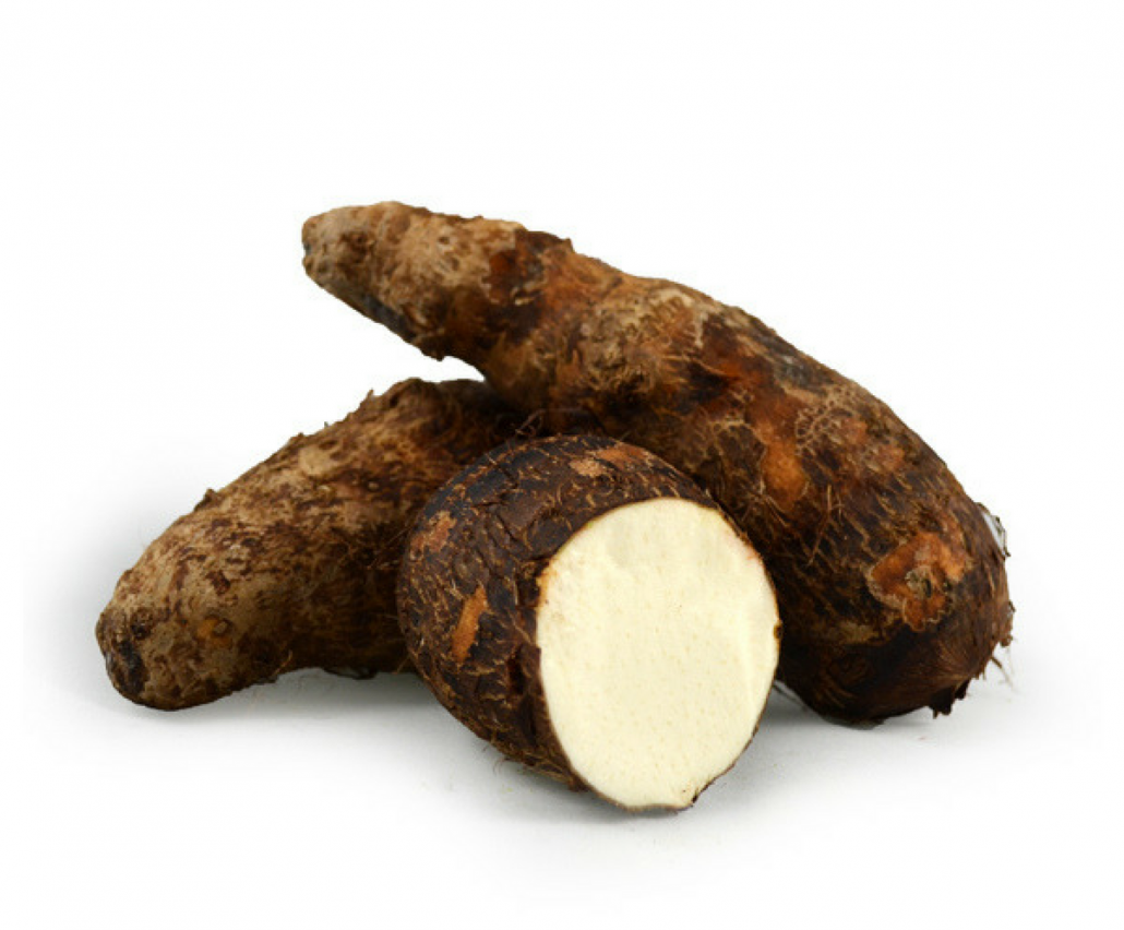 Xanthosoma SP – Jardín Botánico Prof. Eugenio de Js. Marcano