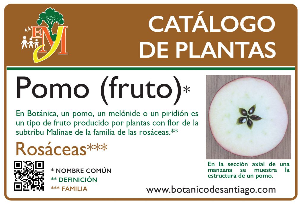 Pomo – Jardín Botánico Prof. Eugenio de Js. Marcano