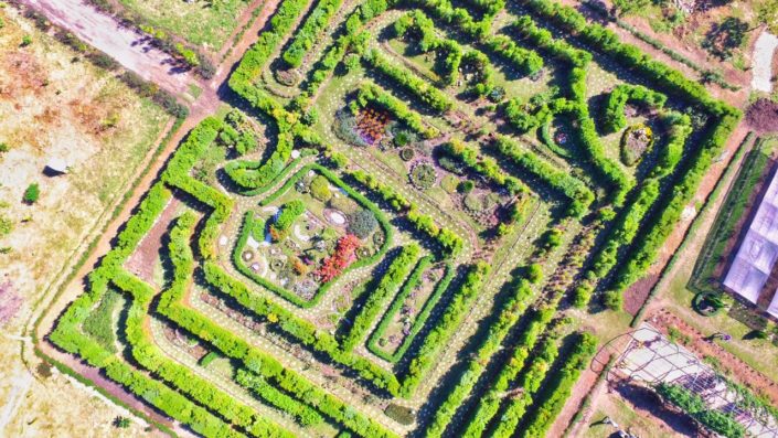 Laberinto – Jardín Botánico Prof. Eugenio de Js. Marcano
