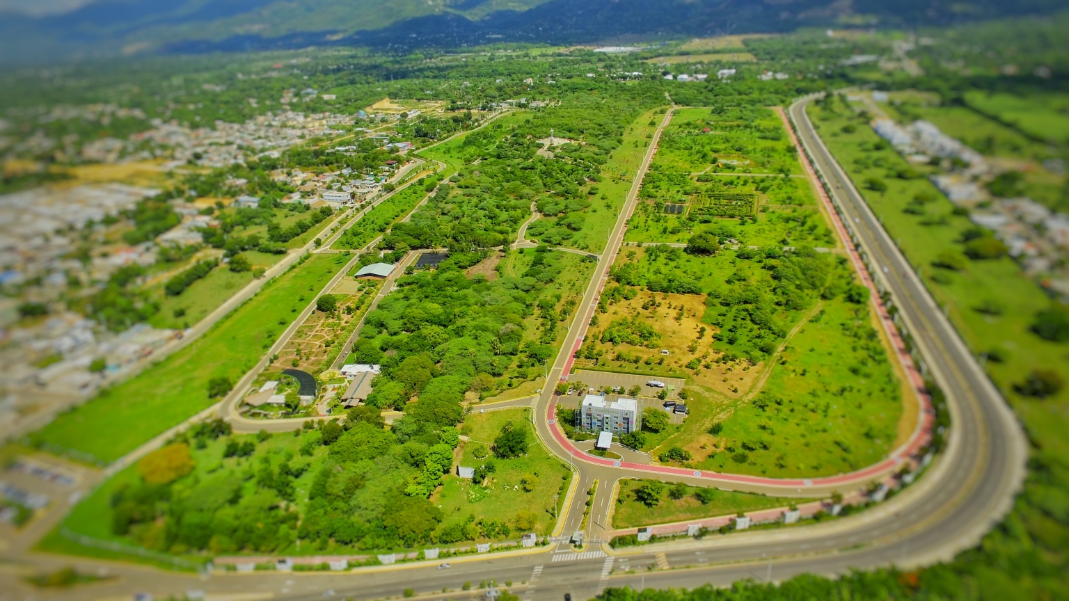 Jardín Botánico, otra victoria verde de Santiago – Jardín Botánico Prof ...